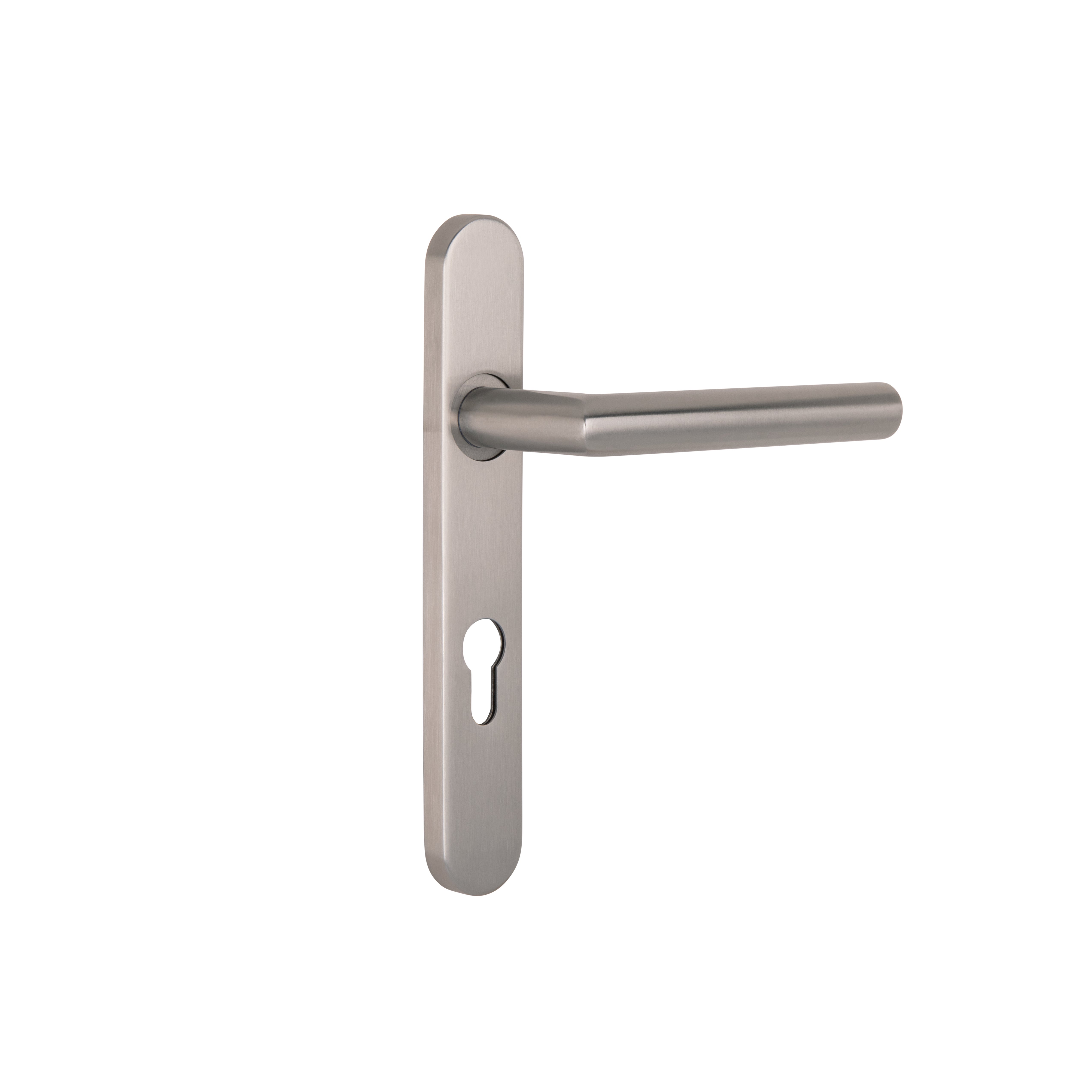 Davis Entry Door Handle - Stainless Steel | ABI Interiors
